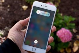 How do I run a .sh or .command file in Terminal - Techsive
