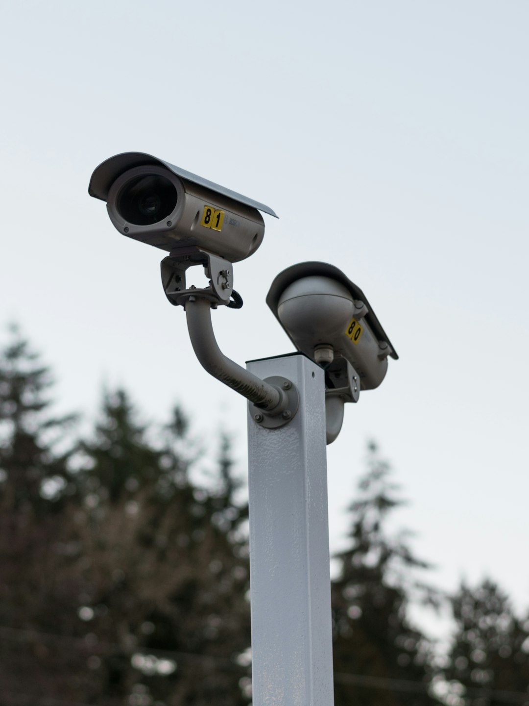 Top 4 Privacy-Focused Extensions That Reddit Privacy Fans Use to Block ...